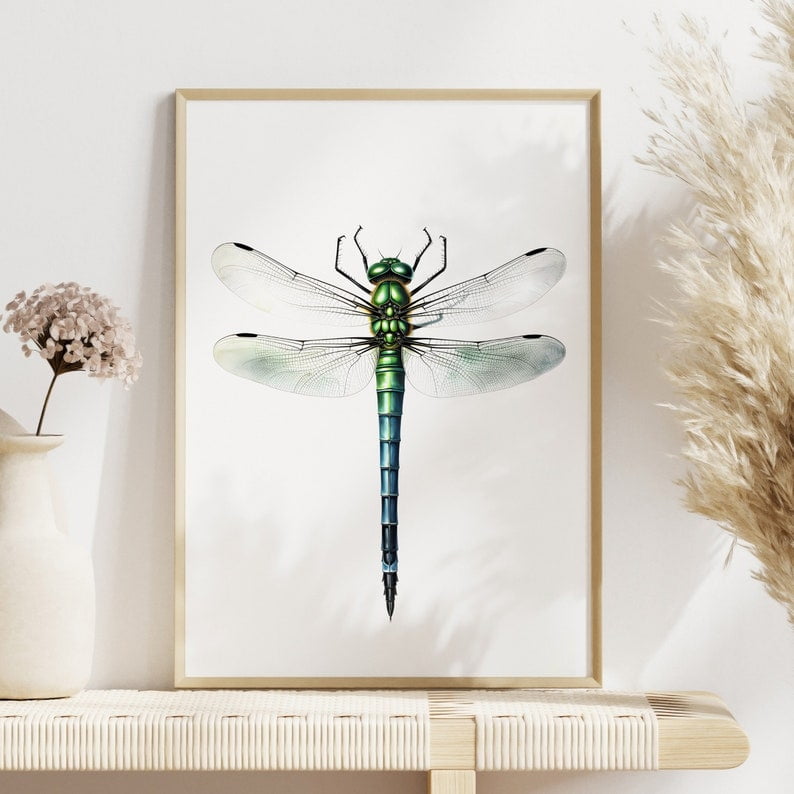 Dragonfly Print, Bug Print, Insect Print, Botanical Guide, Dragonfly ...