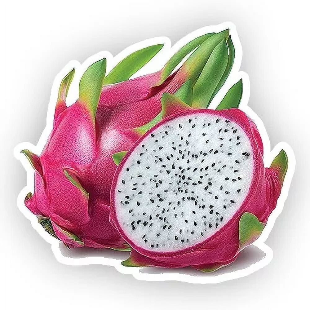 Dragonfruit Summer Refreshing Fruits Vinyl Wall Decal Decor Sticker ...