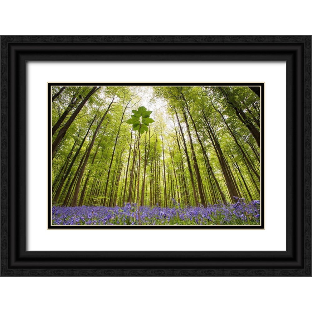 Dragt, Wilco 24x17 Black Ornate Wood Framed with Double Matting Museum Art Print Titled ...