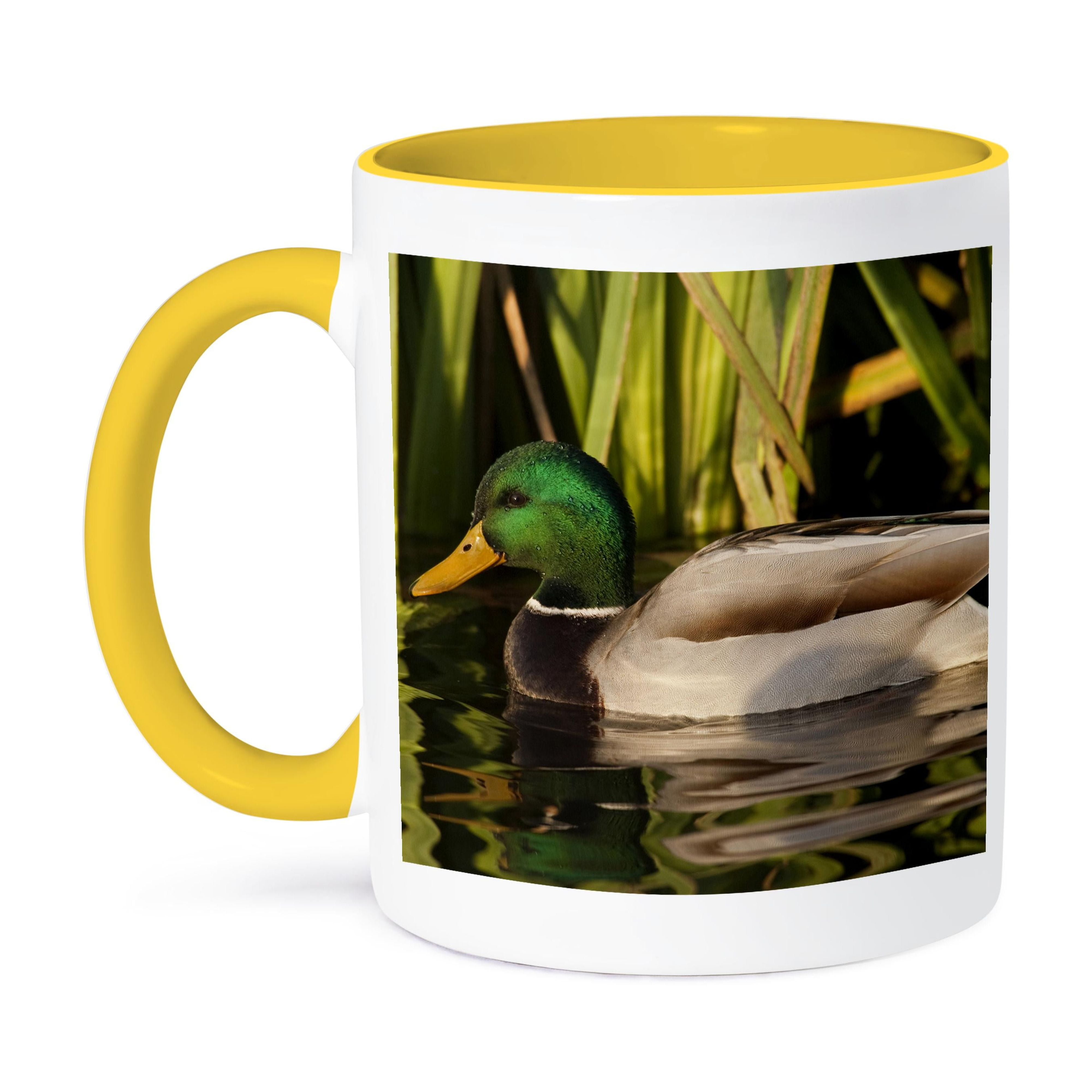 3dRose, Drake Mallard Duck - NA02 RBR0007 - Rick A. Brown, 11oz Two ...