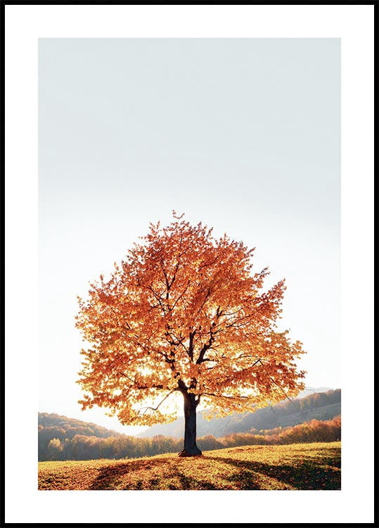 Dramatic Tree Poster Wall Art, Modern Wall Decor For Living Room ...