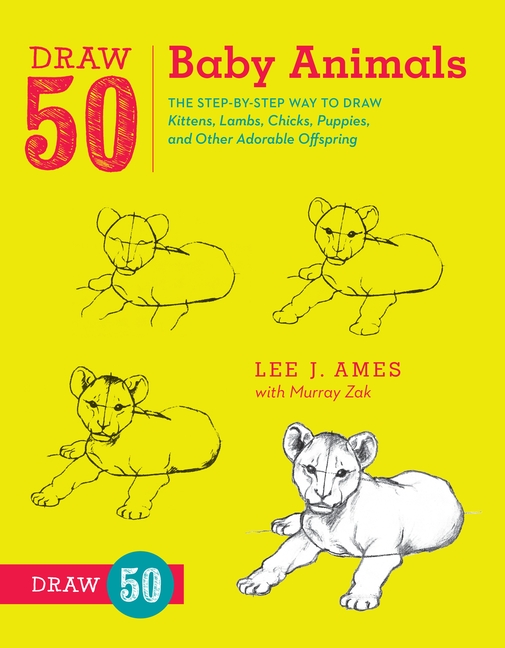 Draw 50 Draw 50 Baby Animals: The Step-By-Step Way to Draw Kittens ...