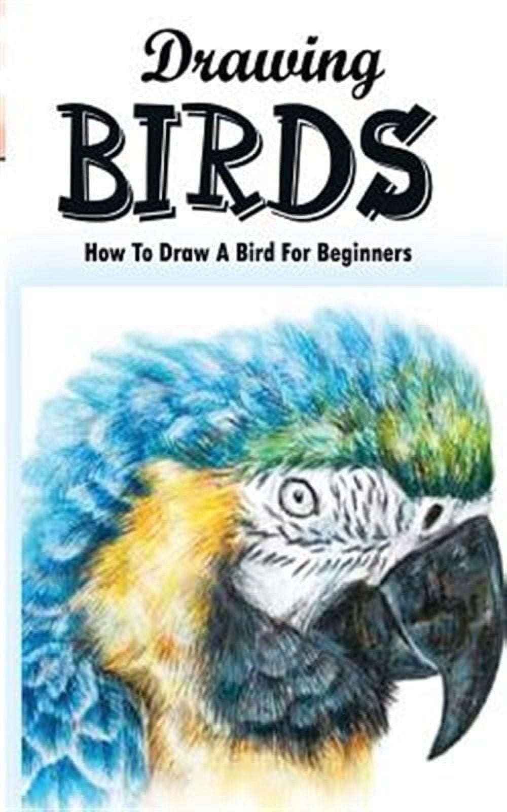 Drawing Birds Book: Drawing Birds: How To Draw A Bird For Beginners ...
