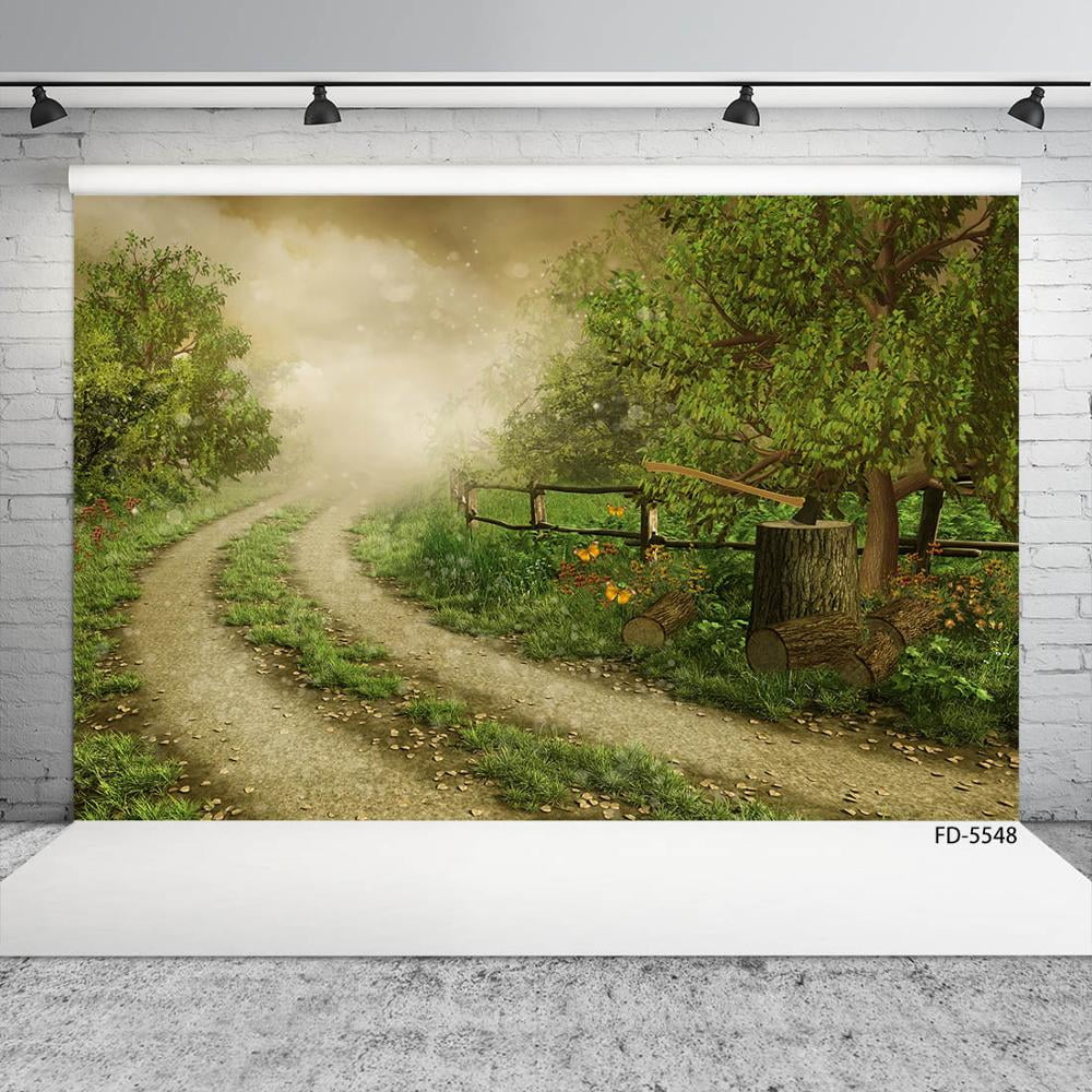 Drawing Plant Pathway Wood Butterfly Photography Background Vinyl ...