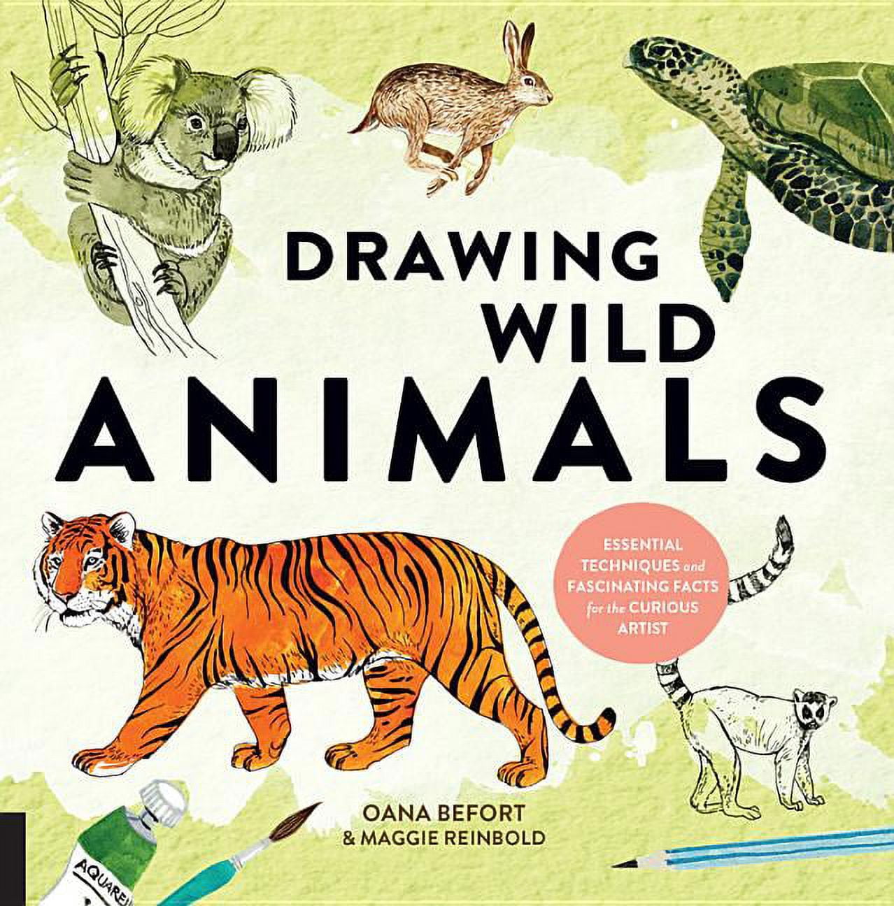 Drawing Wild Animals: Essential Techniques and Fascinating Facts for ...