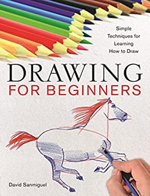 Pre-Owned Drawing for Beginners: Simple Techniques for Learning How to ...