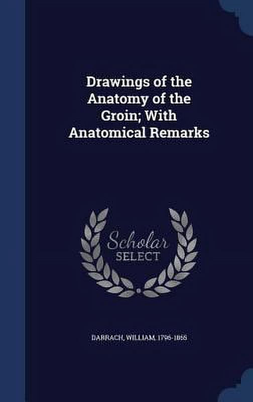 Drawings Of The Anatomy Of The Groin; With Anatomical Remarks - Walmart.com