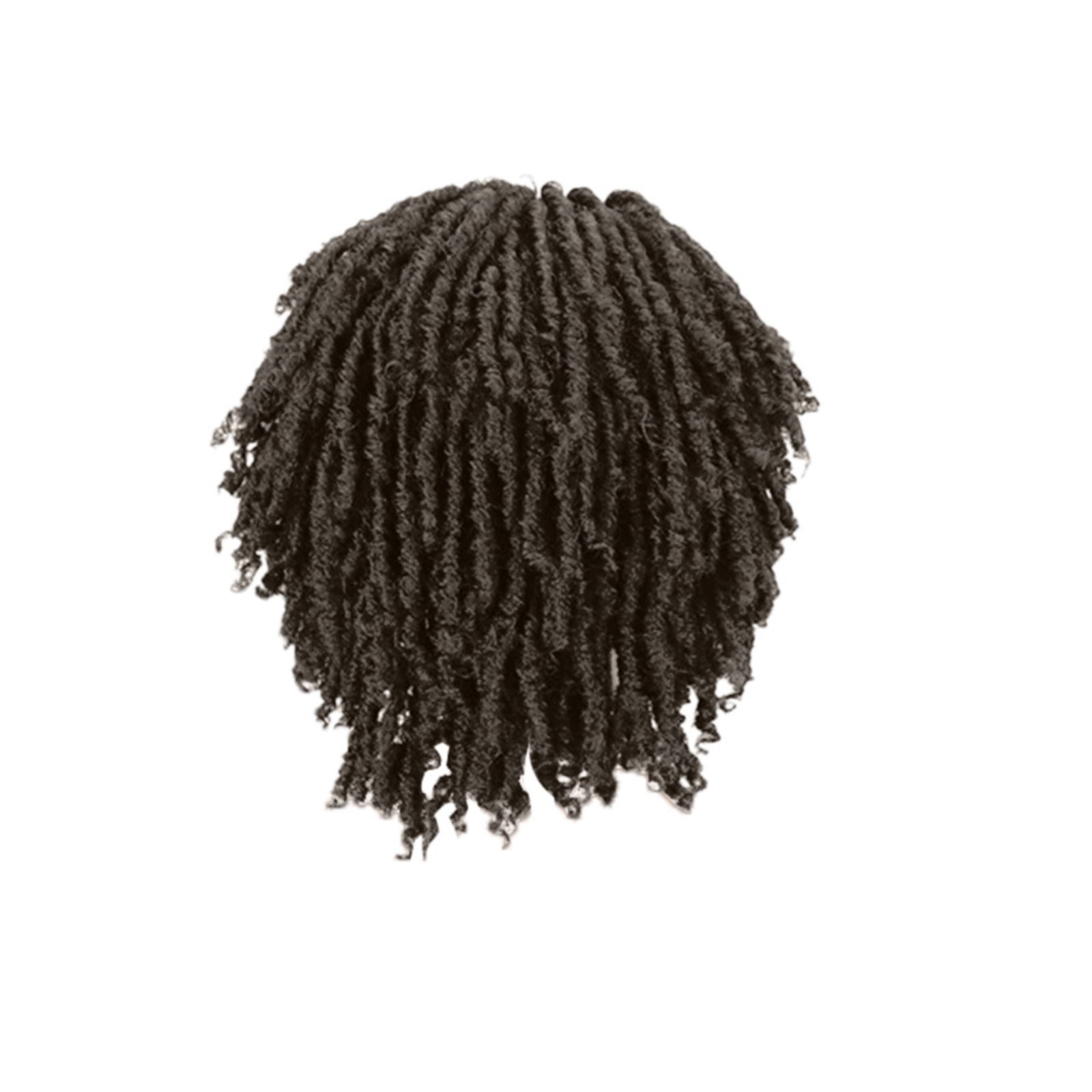Dreadlock Braided Wigs For Black Women Synthetic Short Braided Wigs ...