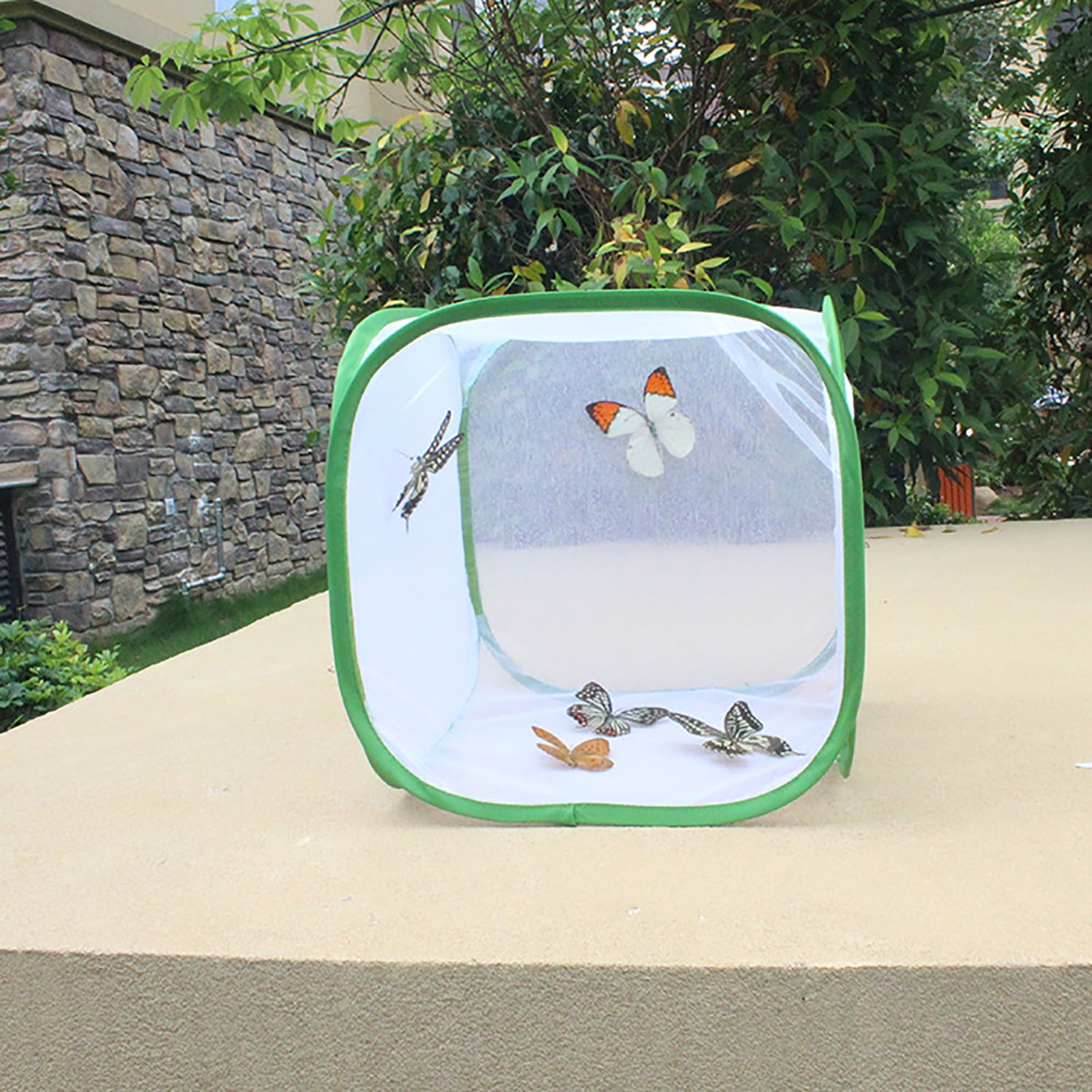 Dream Lifestyle Large Monarch Butterfly Habitat, Giant Collapsible ...
