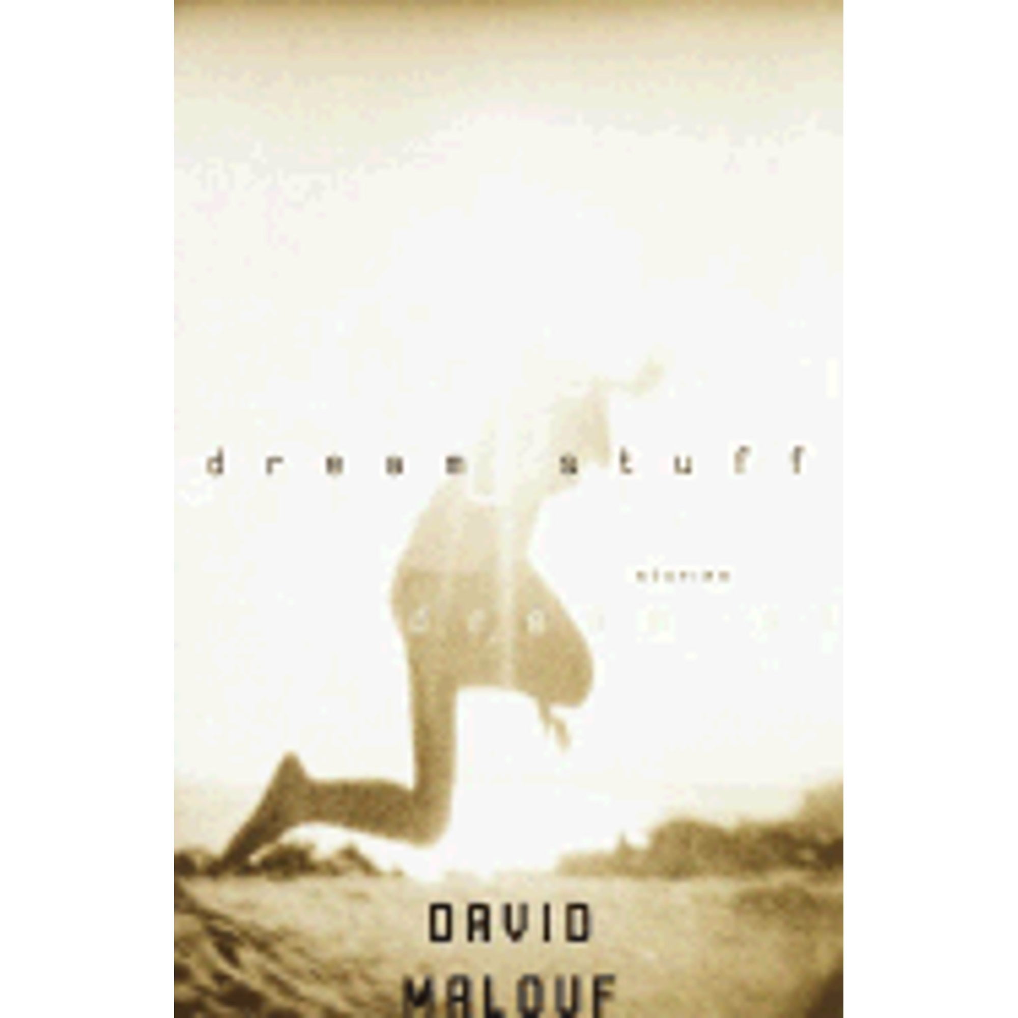 Pre-Owned Dream Stuff: Stories (Hardcover) 0375420533 9780375420535 ...