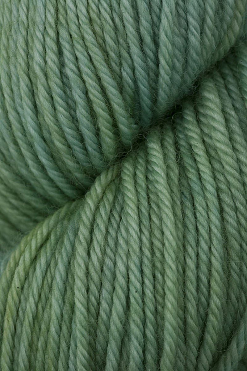Dream in Color - Classy Knitting Yarn - Forget Me (# 607) - Walmart.com