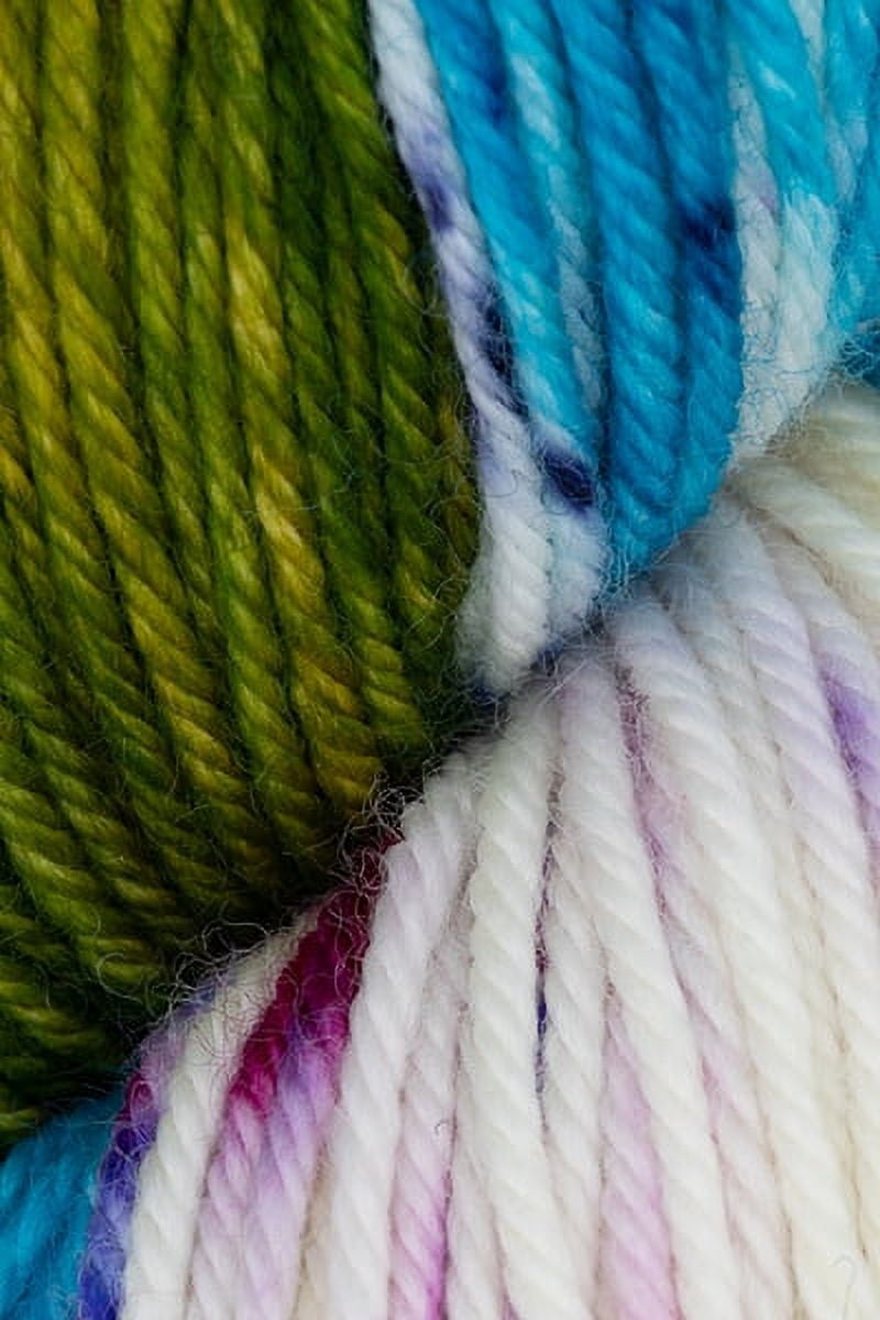 Dream in Color - Classy Knitting Yarn - Six of Everything (# 524 ...