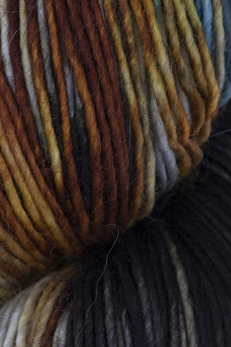 Dream in Color - Jilly Fingering Knitting Yarn - Burr (# 915) - Walmart.com