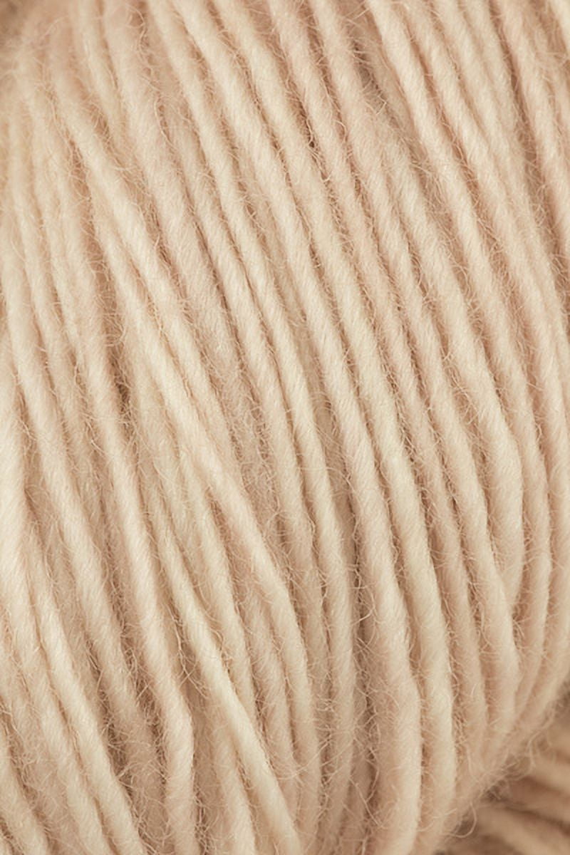 Dream in Color - Jilly Fingering Knitting Yarn - Tokyo Creme (# 22) - Walmart.com