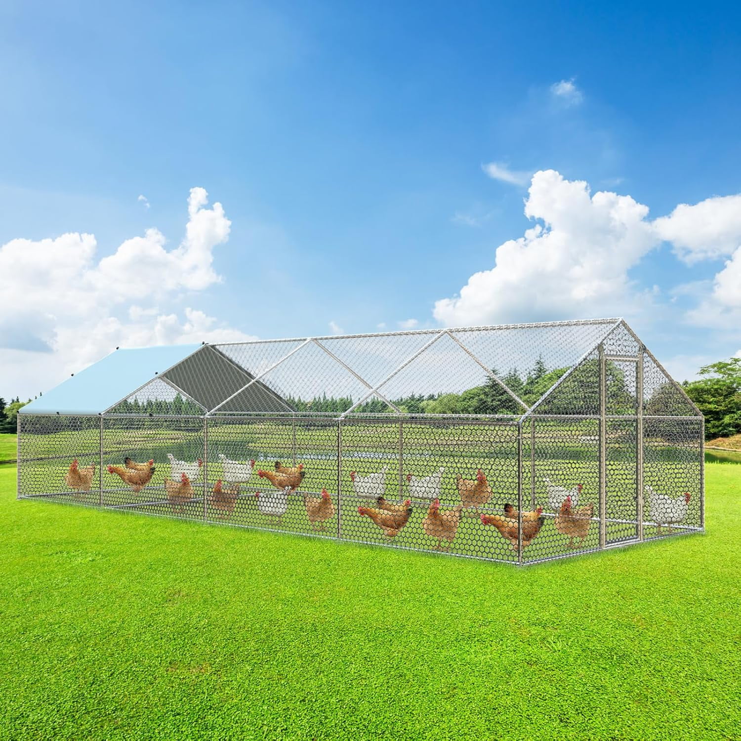 DreamCurship Large Metal Chicken Coop, Outdoor Walking Poultry Cage ...