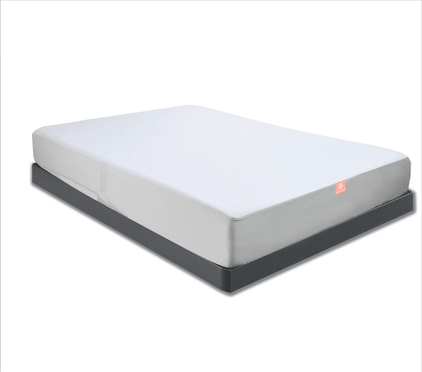 Waterproof, Allergen Resistant, and Bed Bug Protecting Mattress ...