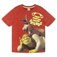 DreamWorks Shrek Donkey Dragon Drop Shoulder T-Shirt Toddler to Big Kid ...