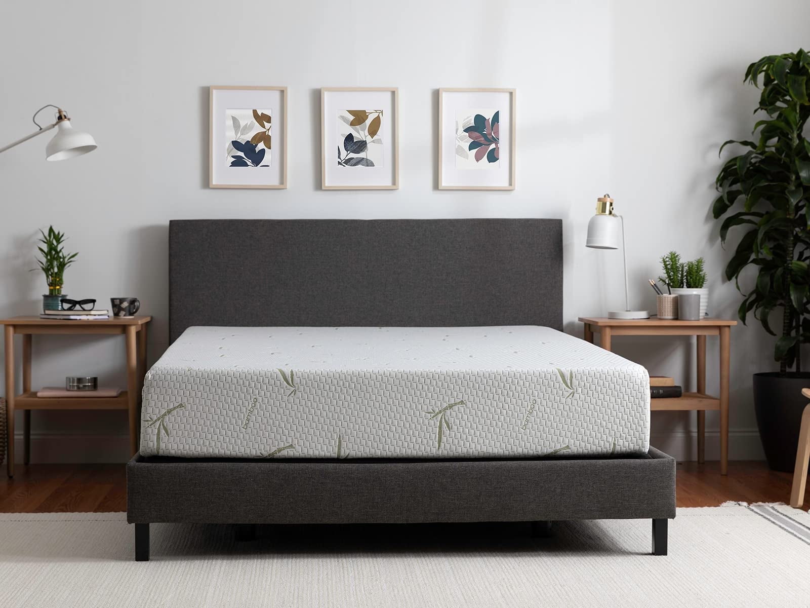 Tulo by Mattress Firm Bamboo 10" Green Tea, King, Memory Foam Mattress ...