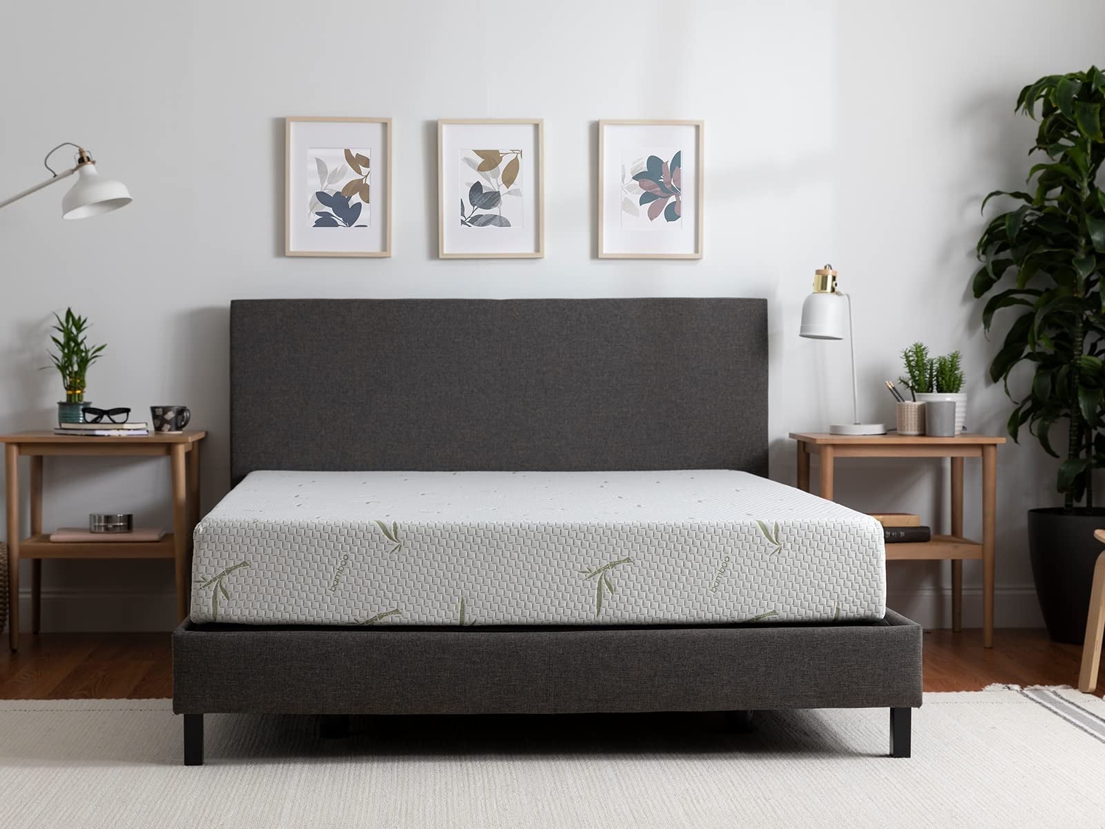 Tulo by Mattress Firm Bamboo 8" Twin Mattress Green Tea Memory Foam ...