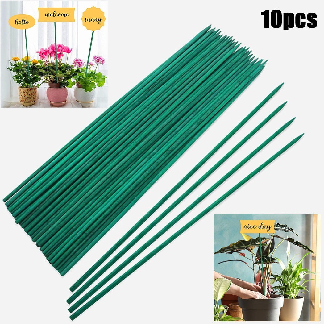 Dreamhall 20Pcs Garden Wood Plant Stakes Green Bamboo Sticks, Sturdy ...