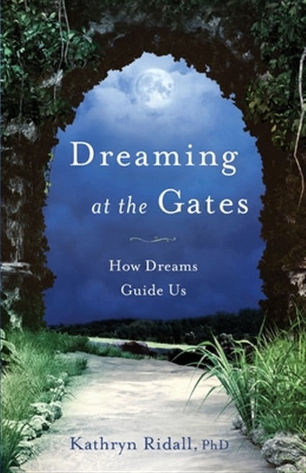 Dreaming at the Gates: How Dreams Guide Us - Walmart.com