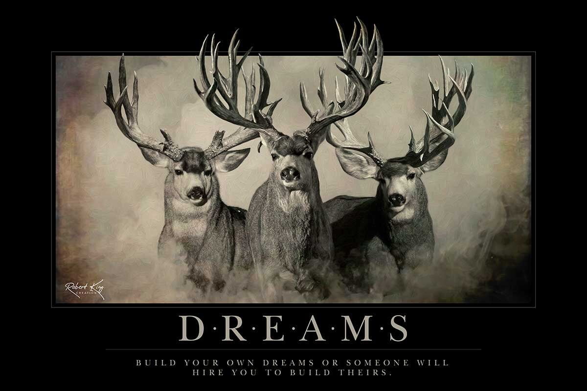 Dreams Motivational Mule Deer Print by Robert King, Mule Deer Trophy ...
