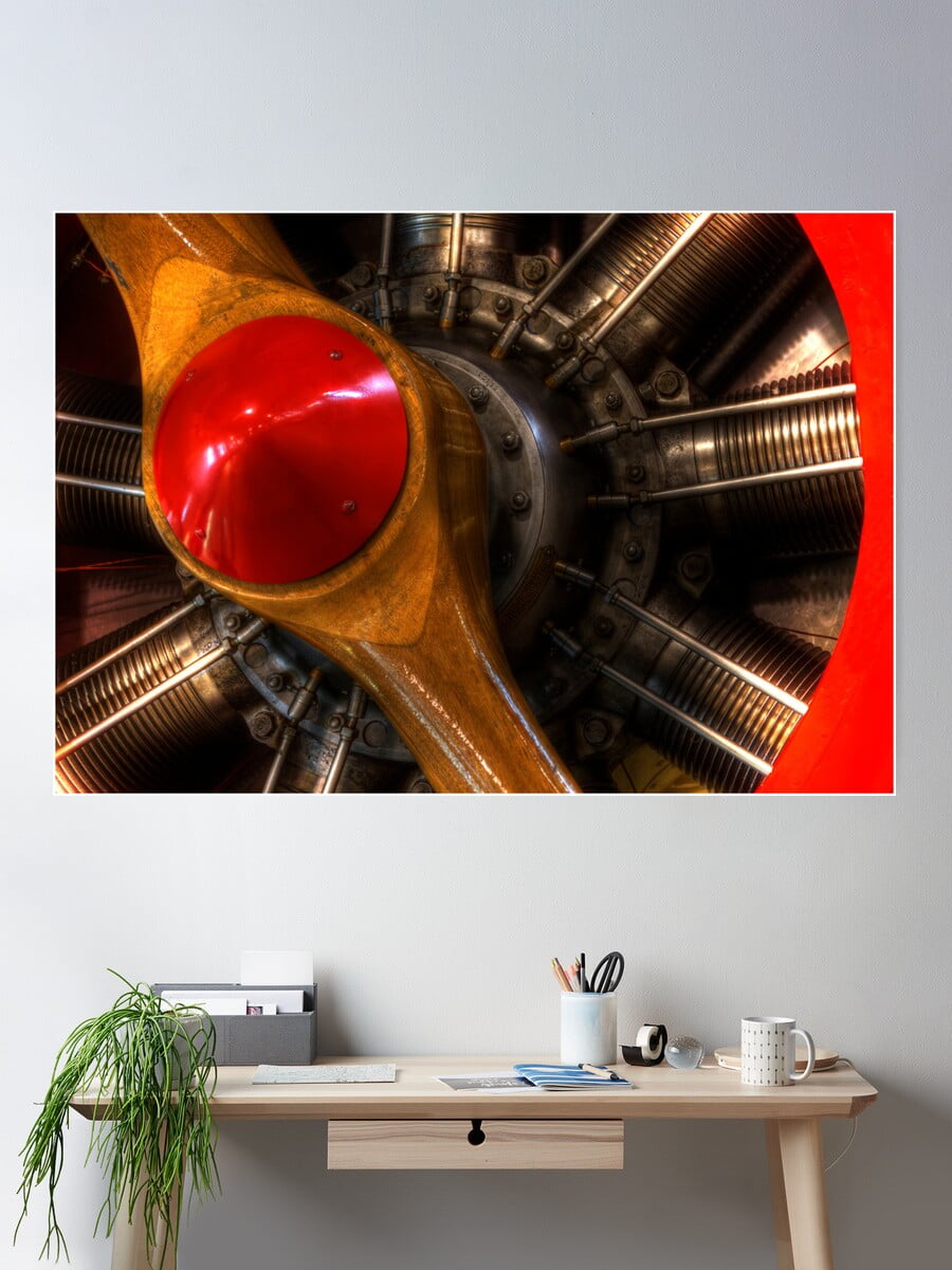 Dreams Of Flying Poster Wall Art, Modern Wall Decor For Living Room ...