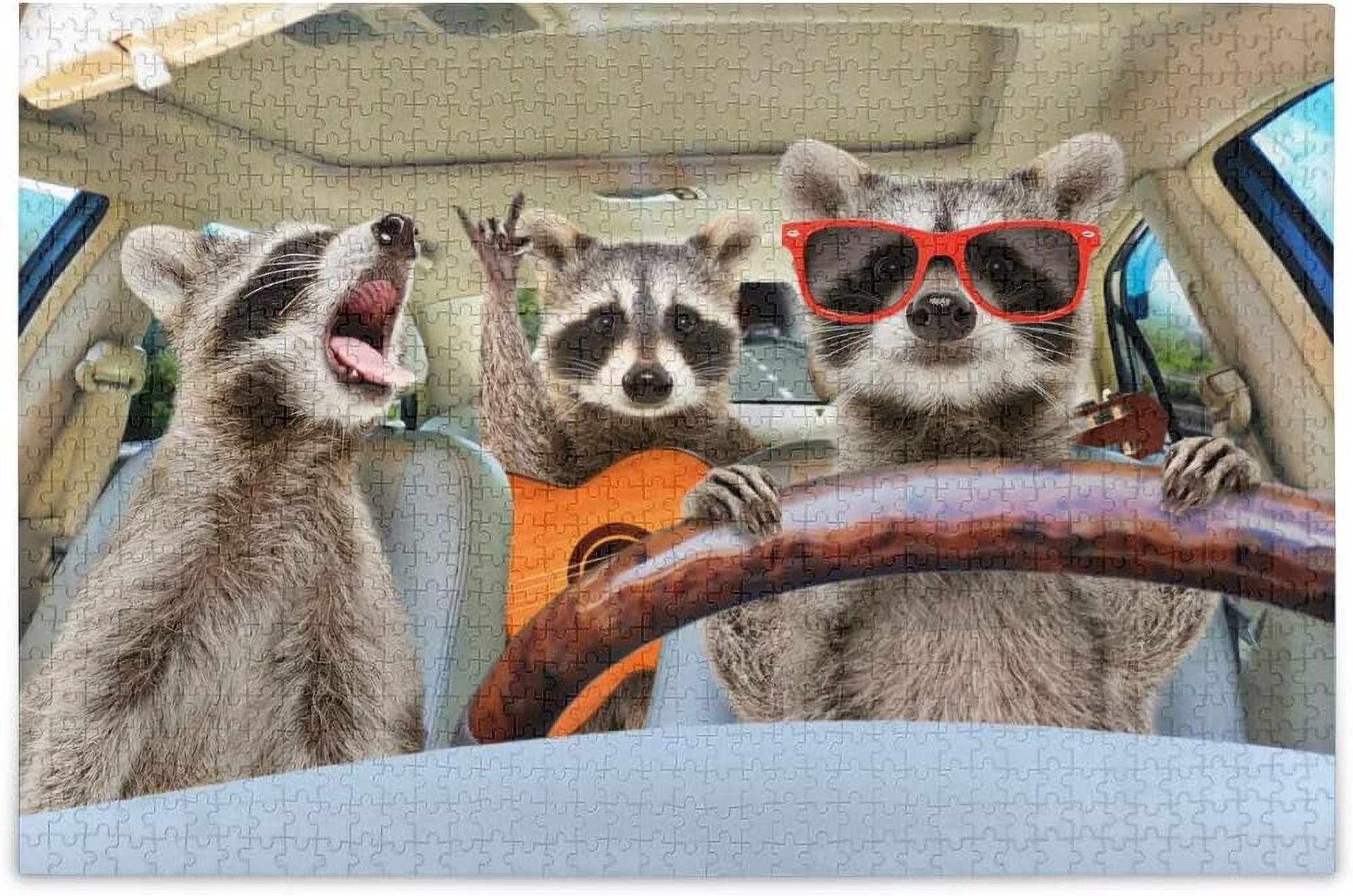 Dreamtimes 1000 Piece Jigsaw Puzzle for Adults Kids, Funny Raccoon ...