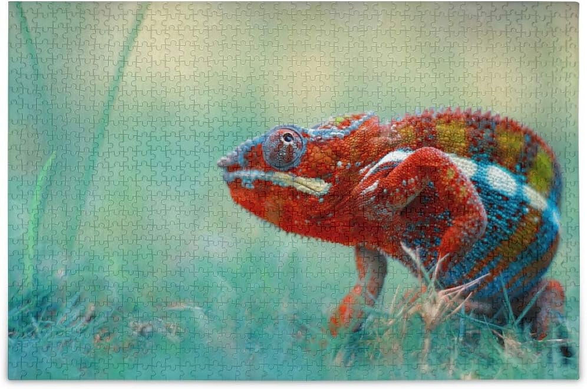 Dreamtimes 1000 Piece Jigsaw Puzzle for Adults Kids, Reptile Chameleon ...