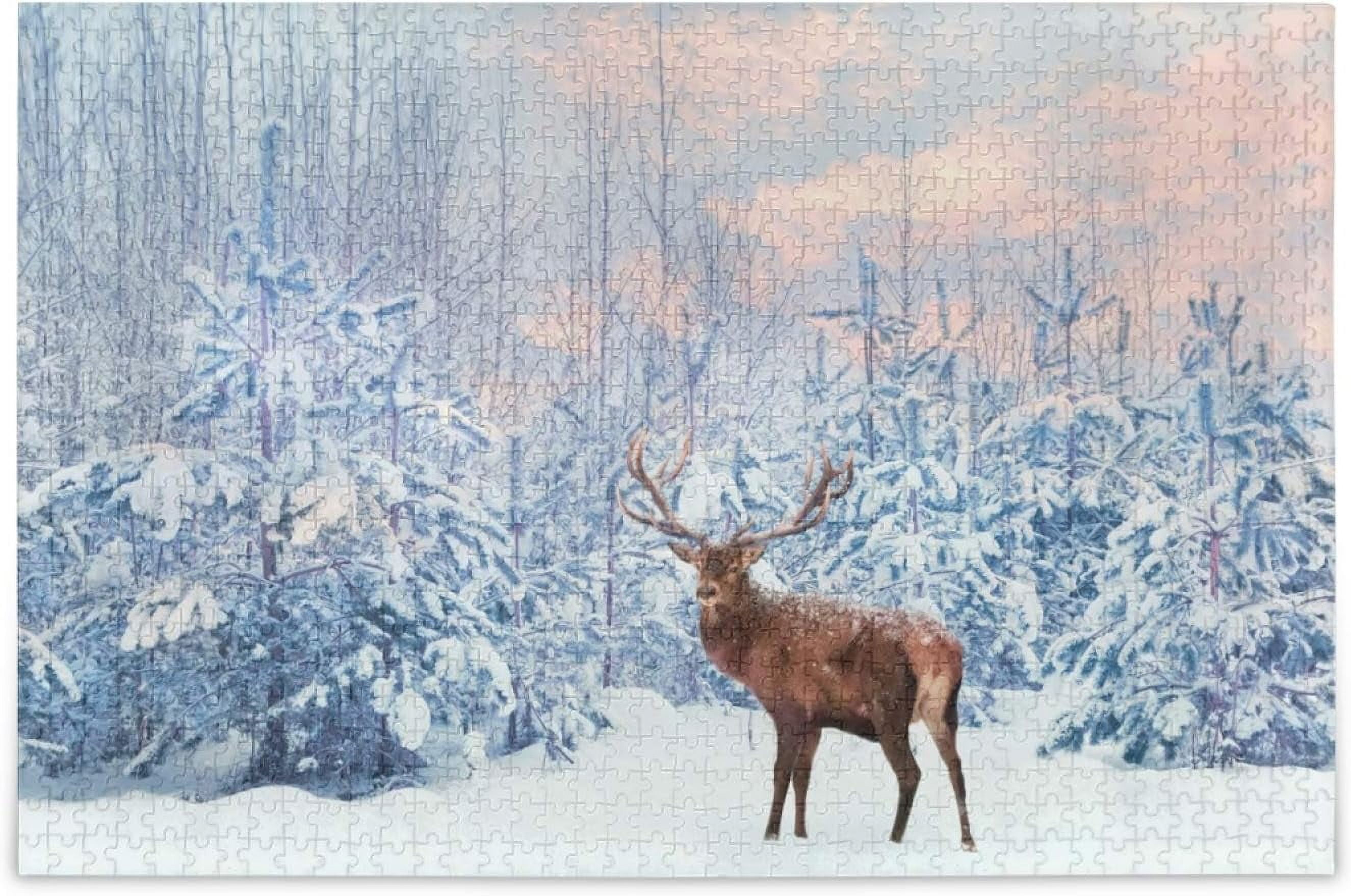 Dreamtimes 1000 Piece Jigsaw Puzzle for Adults Kids, Winter Fairy ...