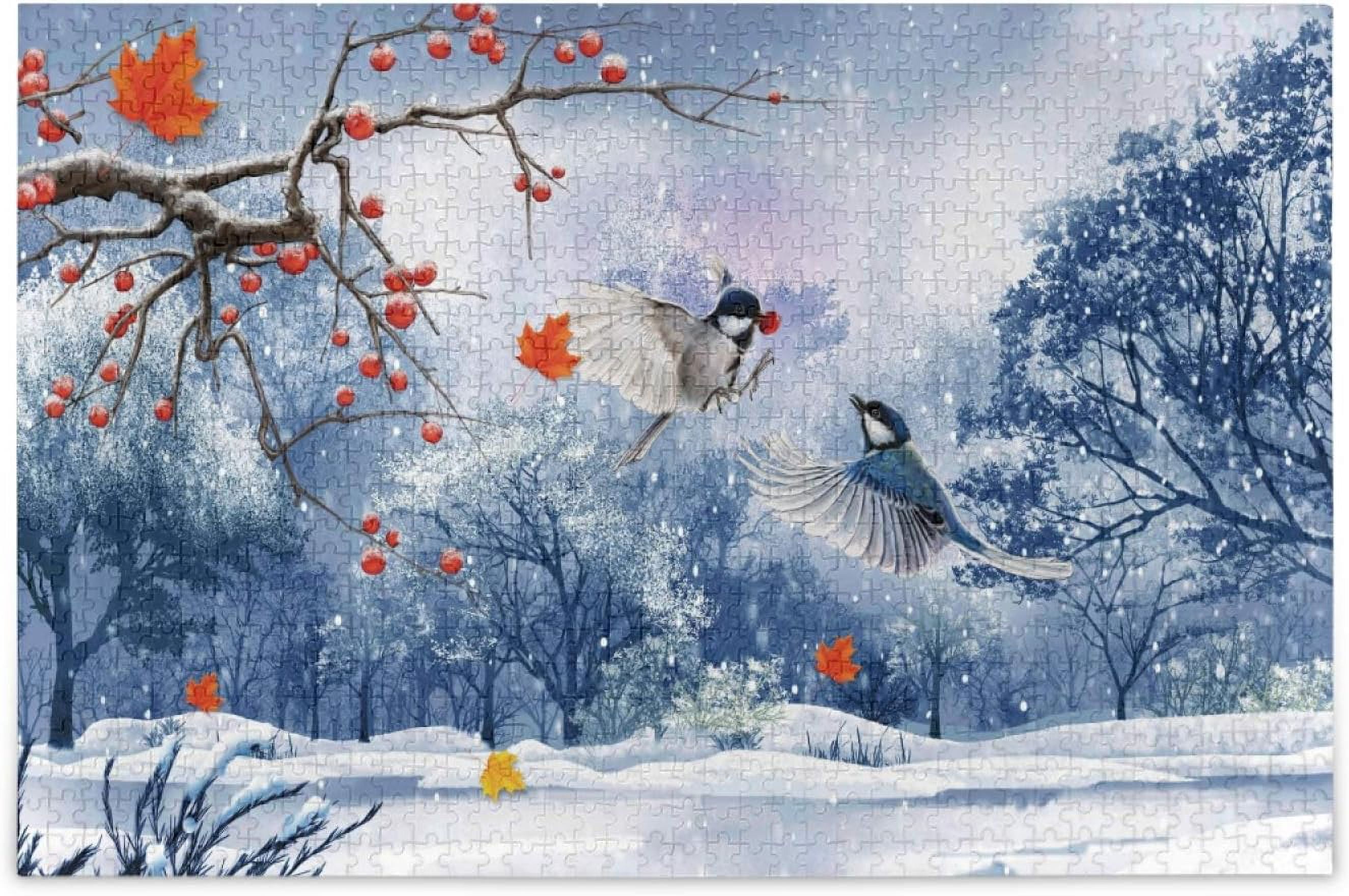 Dreamtimes 1000 Piece Jigsaw Puzzle for Adults Kids, Winter Landscape ...
