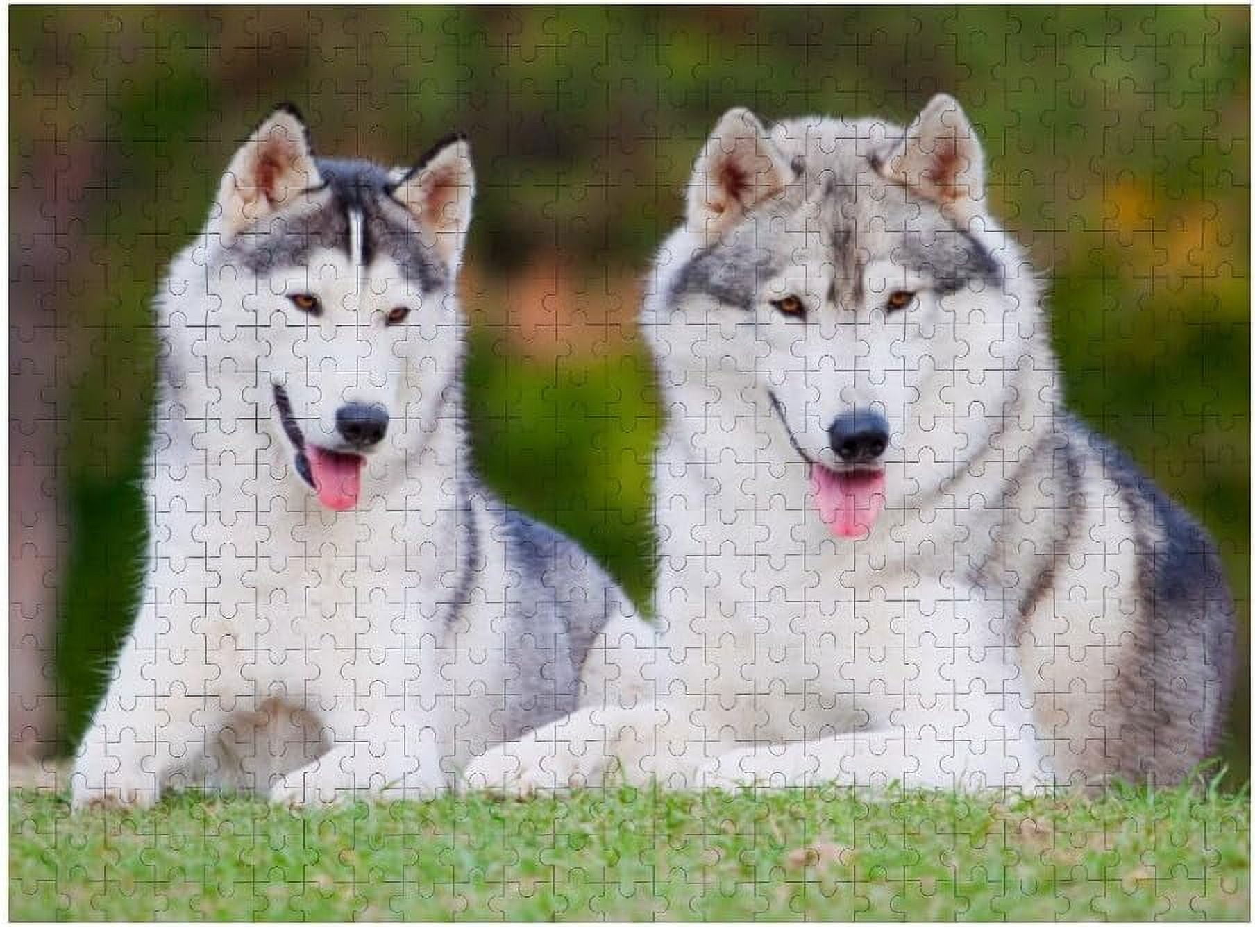 Dreamtimes 1000 Piece Jigsaw Puzzle for Kids Adults - Two Siberian ...