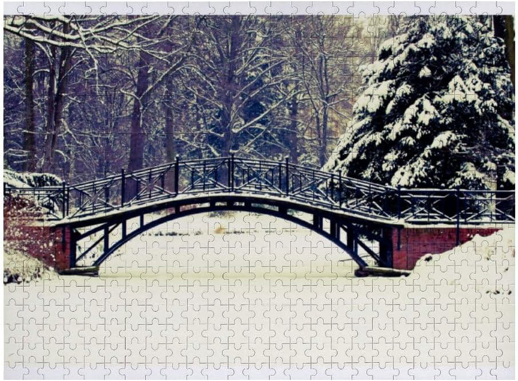 Dreamtimes 1000 Piece Jigsaw Puzzle for Kids Adults - Winter Scene Old ...