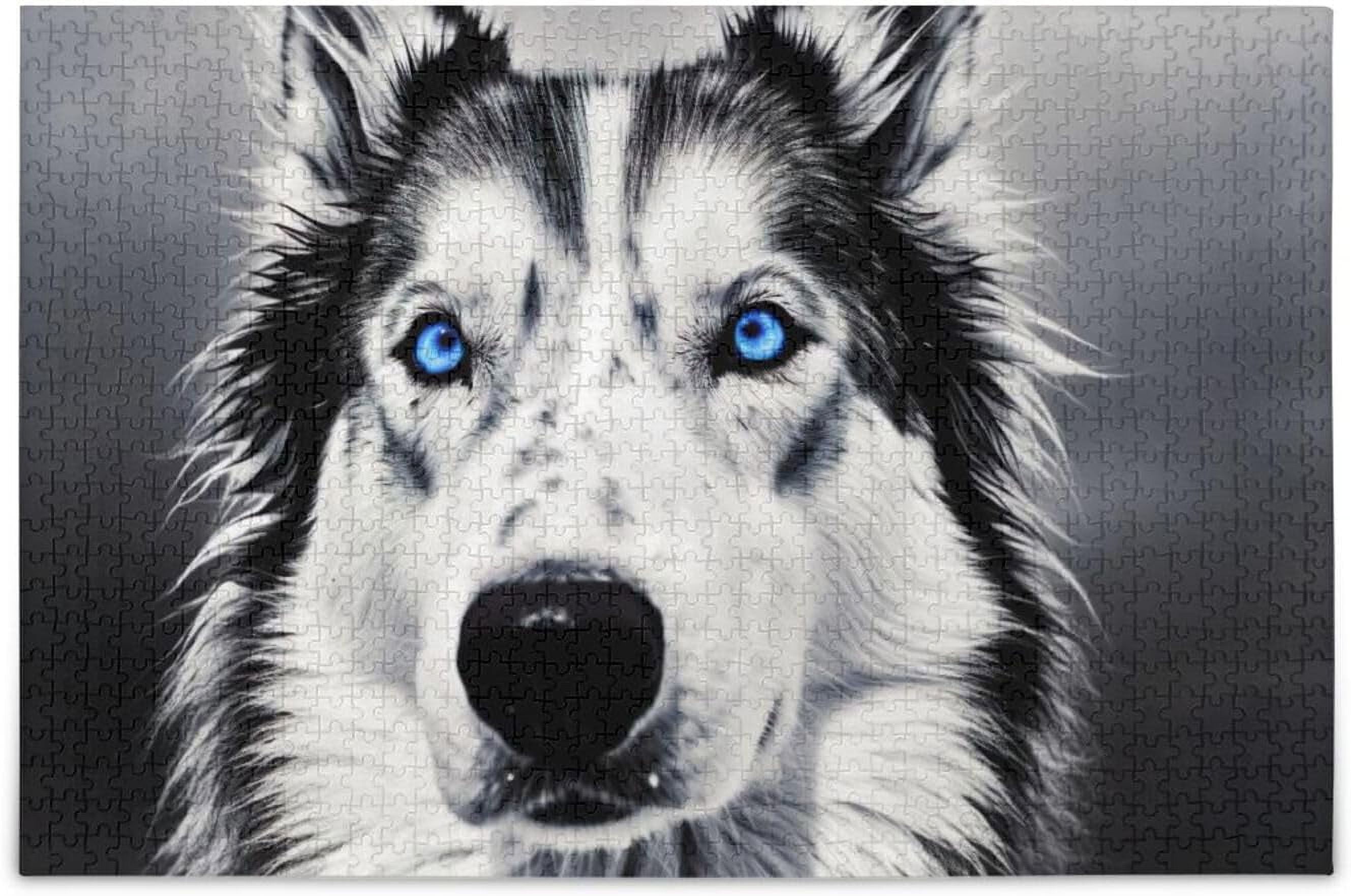 Dreamtimes 1000 Pieces Dumb and Cute Er Ha Dog Jigsaw Puzzle for Adults ...