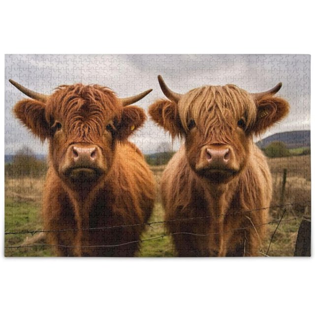 Dreamtimes 1000 Pieces Highland Cattle Jigsaw Puzzle for Adults Teens ...
