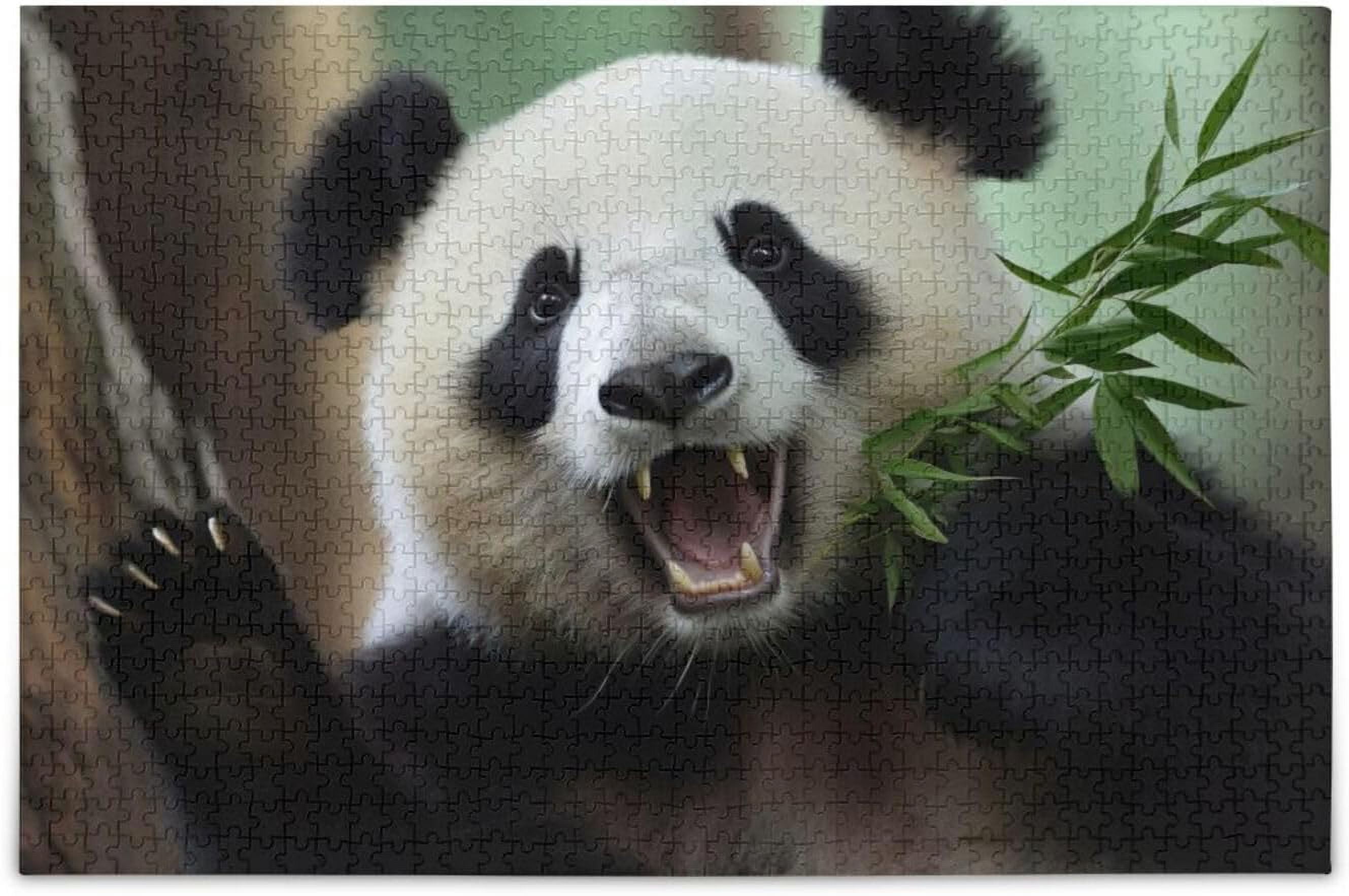 Dreamtimes 1000 Pieces Naughty Panda Jigsaw Puzzle for Adults Teens ...