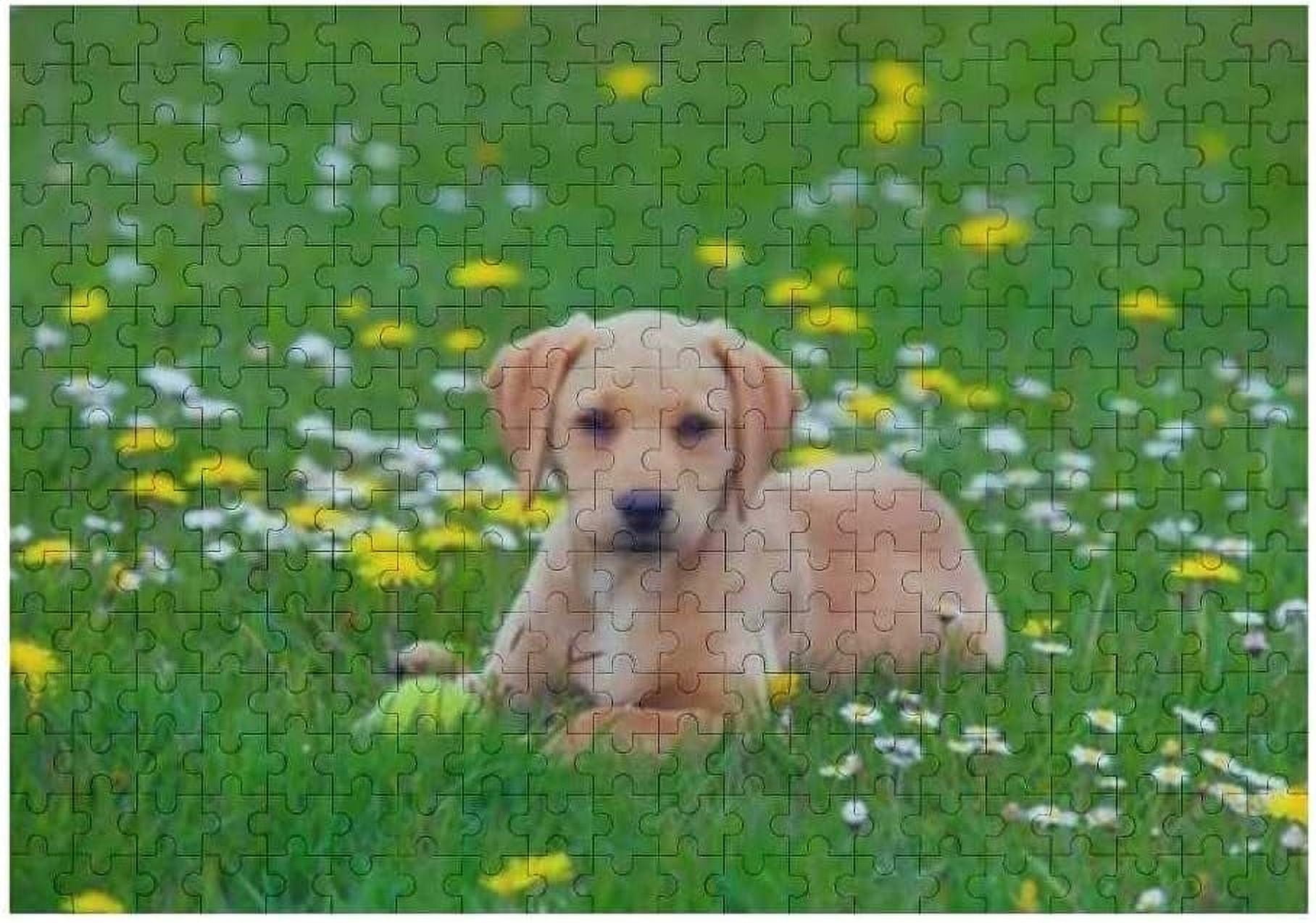 Dreamtimes 500 PCS Jigsaw Puzzles, Artwork Gift for Adults Teens Yellow ...