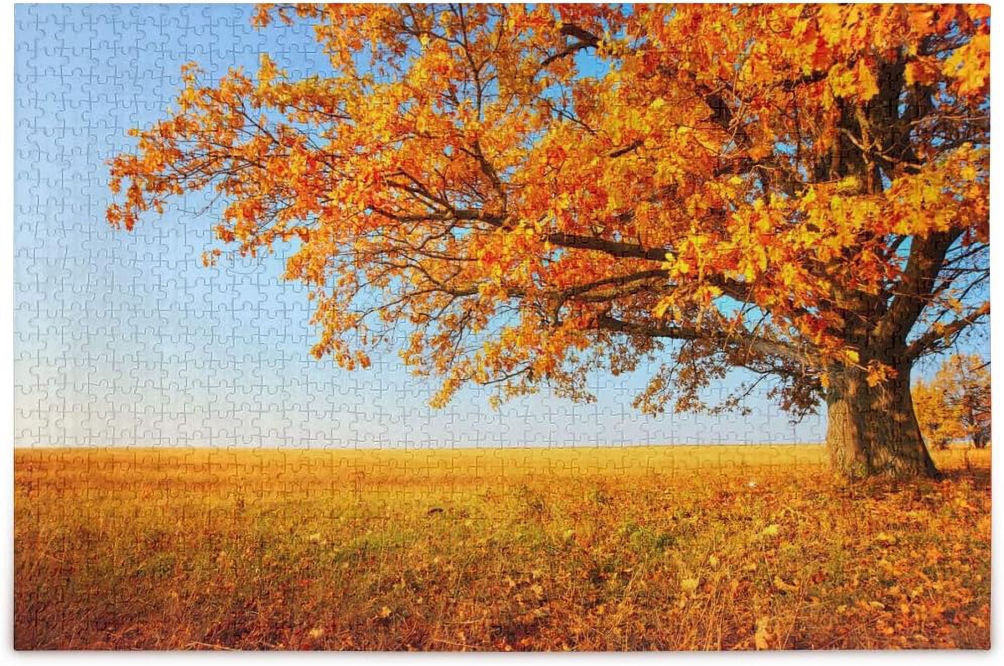Dreamtimes 500 Piece Puzzles for Adults Fall Autumn Trees Grassland ...