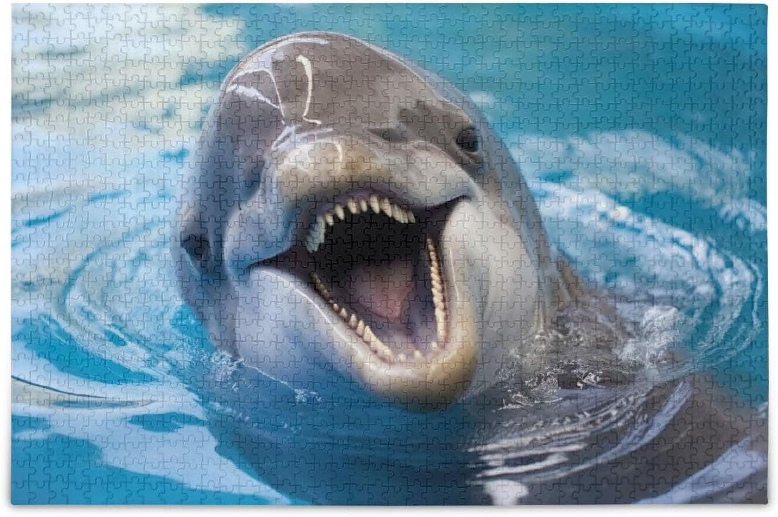 Dreamtimes 500 Pieces Cute Dolphins Jigsaw Puzzle for Adults Teens Kids ...