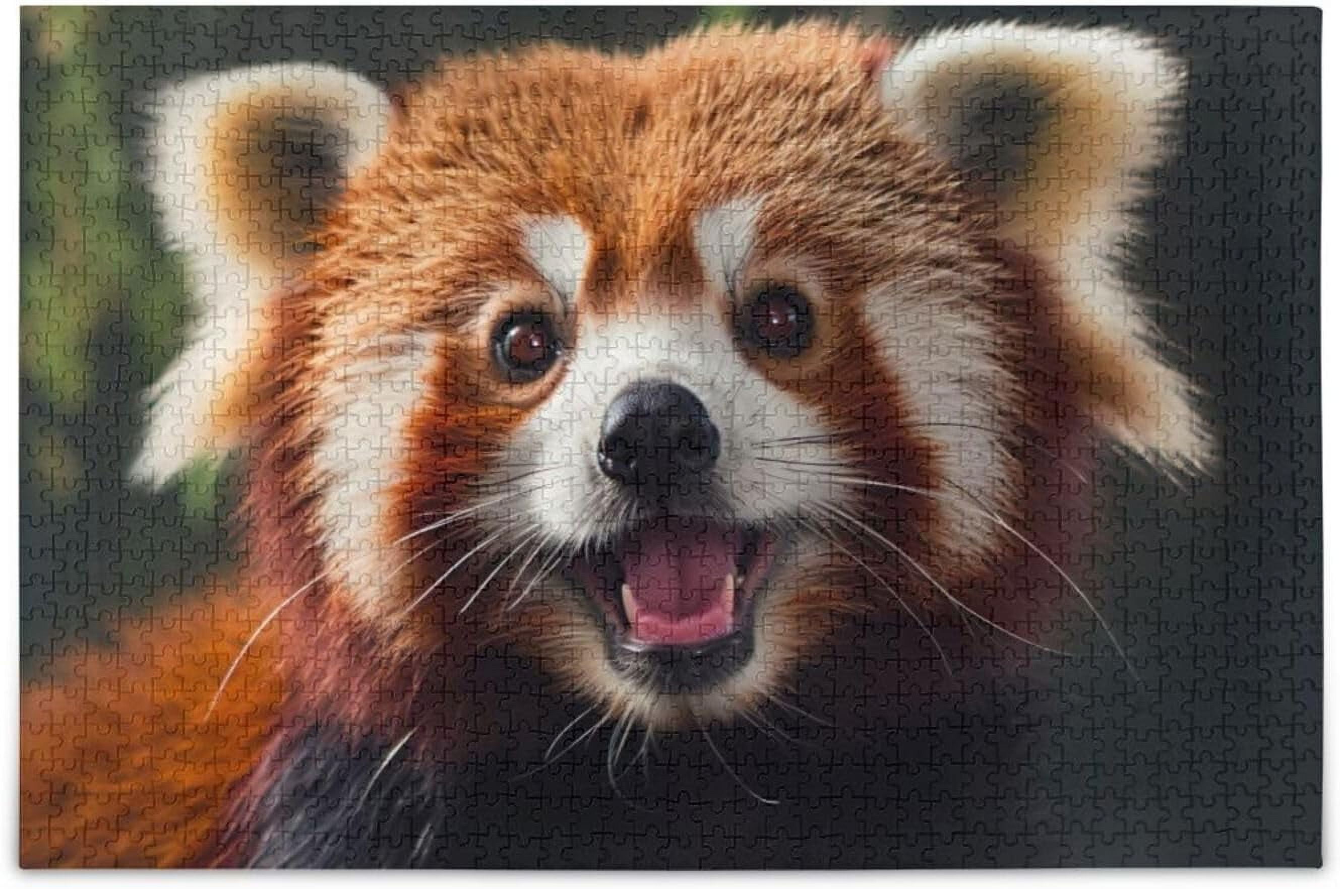 Dreamtimes 500 Pieces Cute Raccoon Jigsaw Puzzle for Adults Teens Kids ...