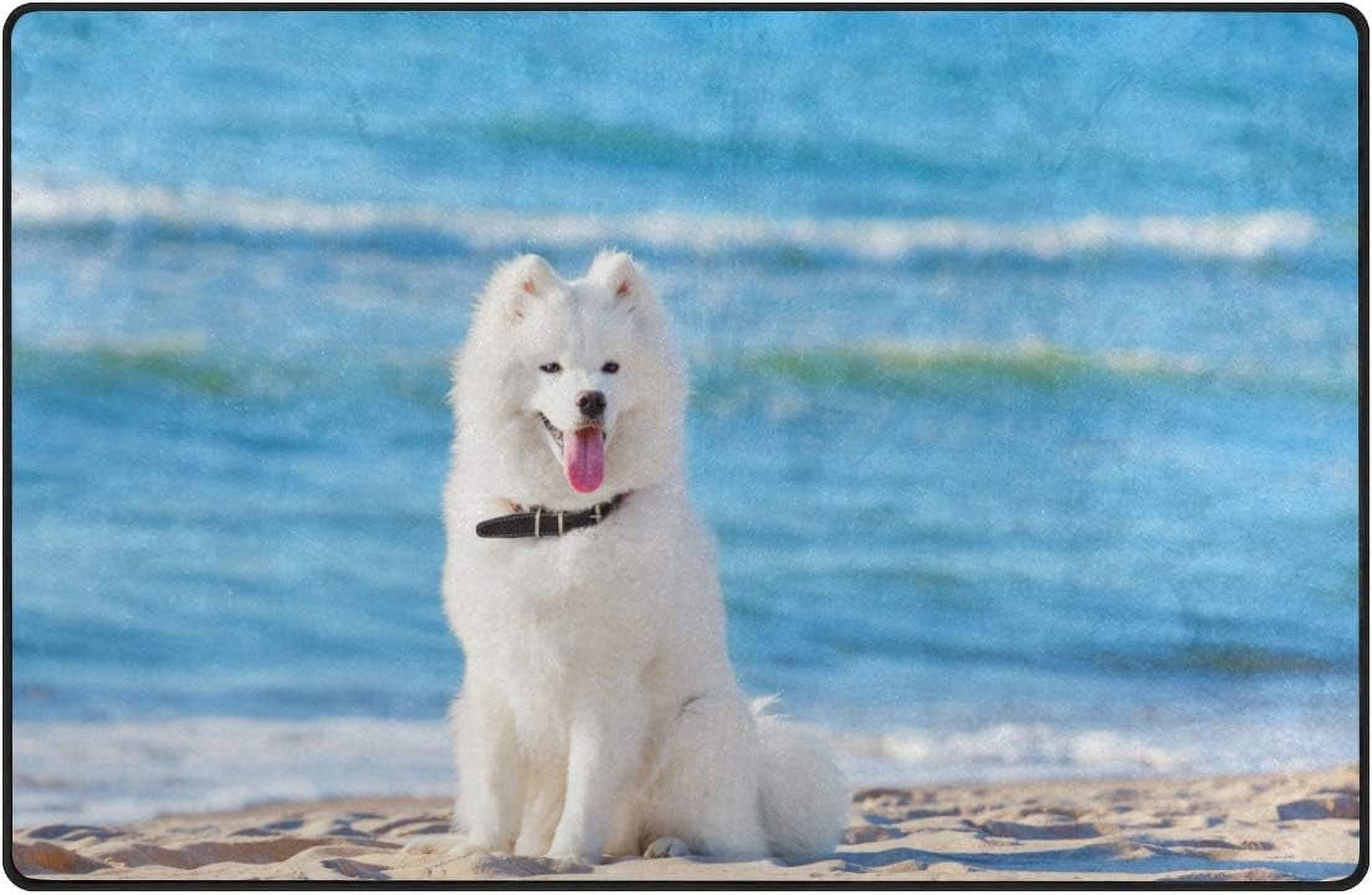 Dreamtimes Area Rug 60 x 39 inch (5'x 3'3"), Carpet White Dog Samoyed ...