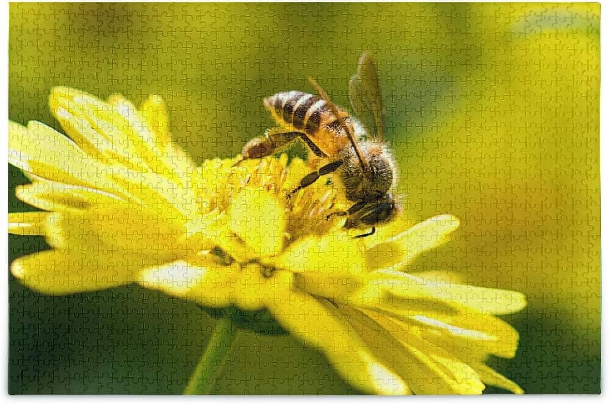Dreamtimes Beautiful Bee Stand in Flowers Honeybee in Bright Sunny Day ...