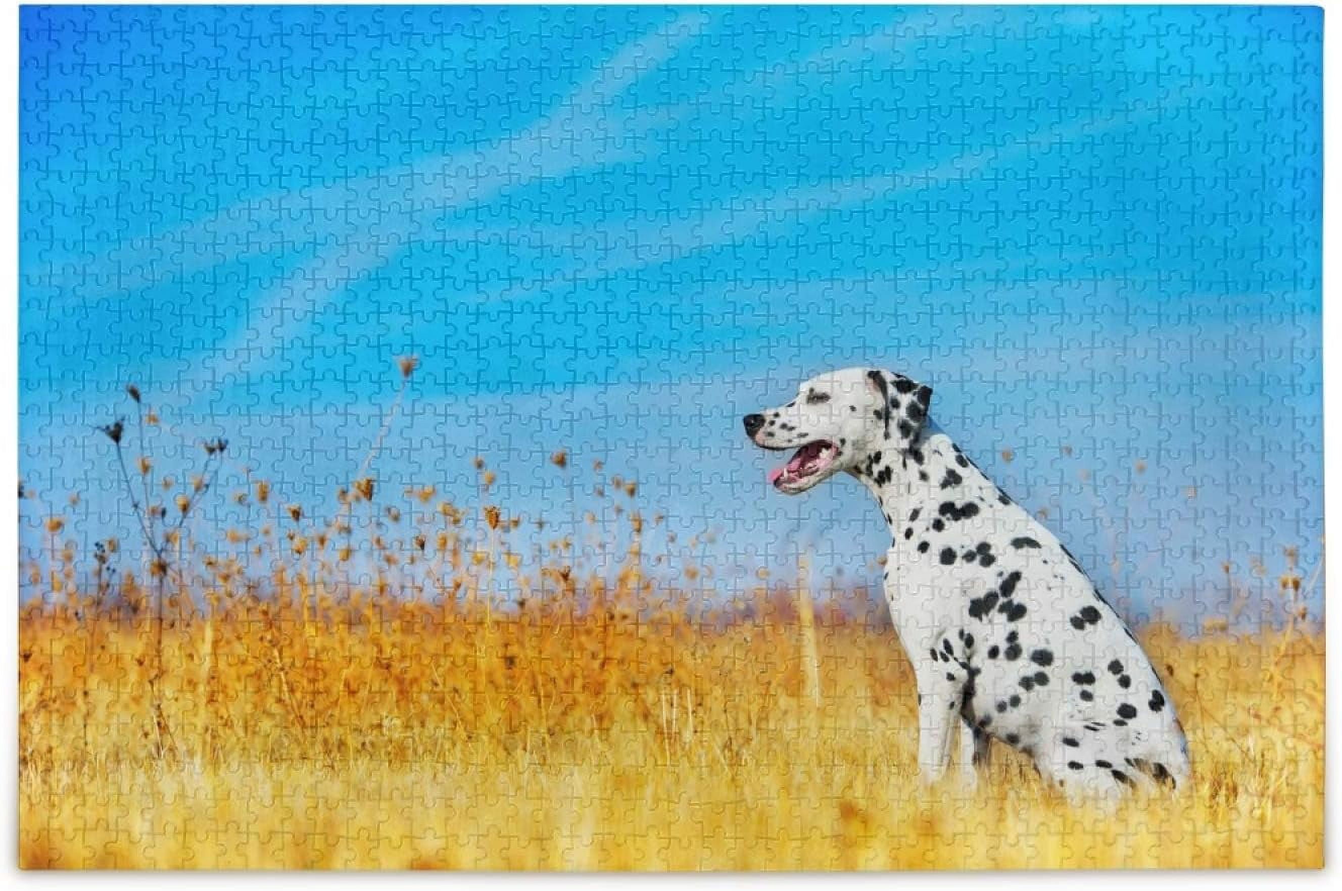 Dreamtimes Beautiful Dalmatian Dog in Field Puzzle for Adults 500 Piece ...