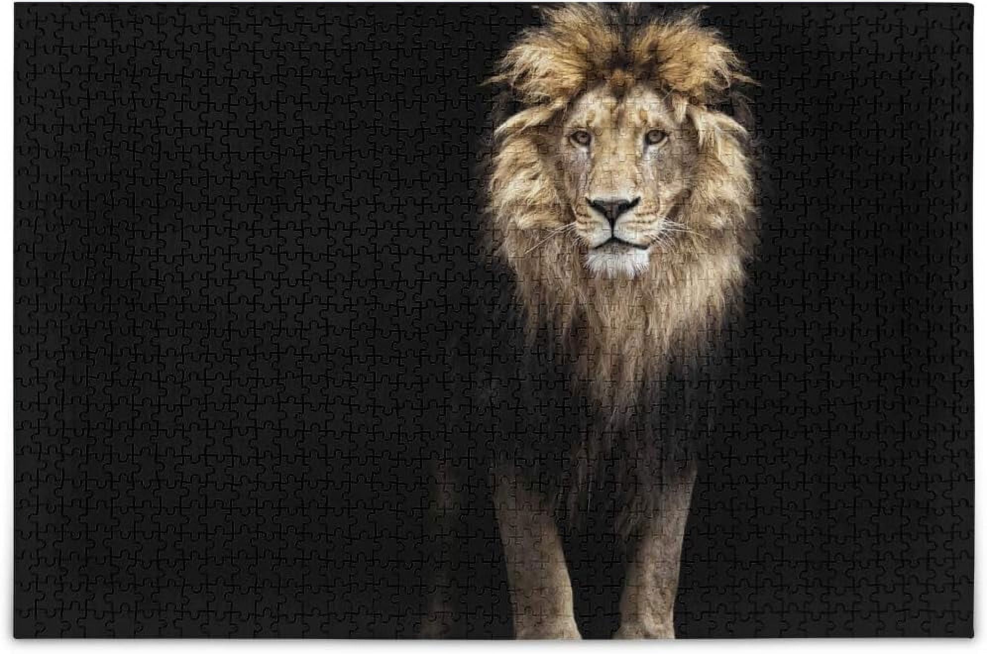 Dreamtimes Beautiful Lion Portrait Wild Animal in Dark Jigsaw Puzzles ...