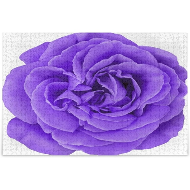 Dreamtimes Beautiful Purple Rose Jigsaw Puzzles, Puzzles for Adults 500 ...