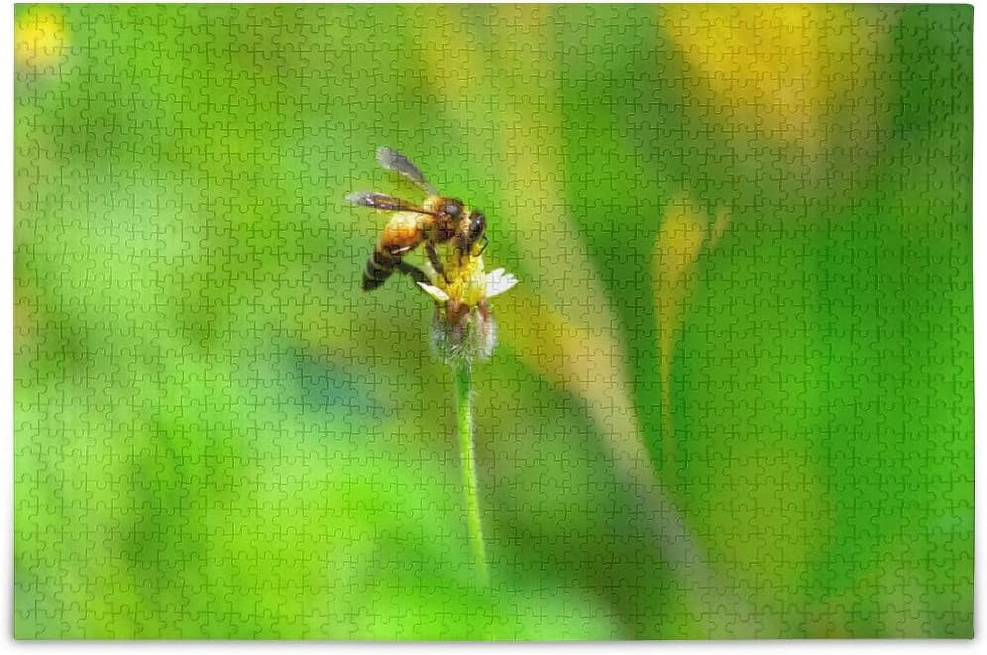 Dreamtimes Bee Stand On Beautiful Flower Honeybee On Fuzzy Green Forest ...
