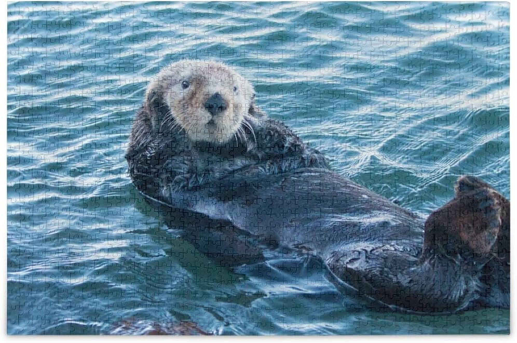 Dreamtimes California Sea Otter Floating in Blue Ocean Jigsaw Puzzles ...