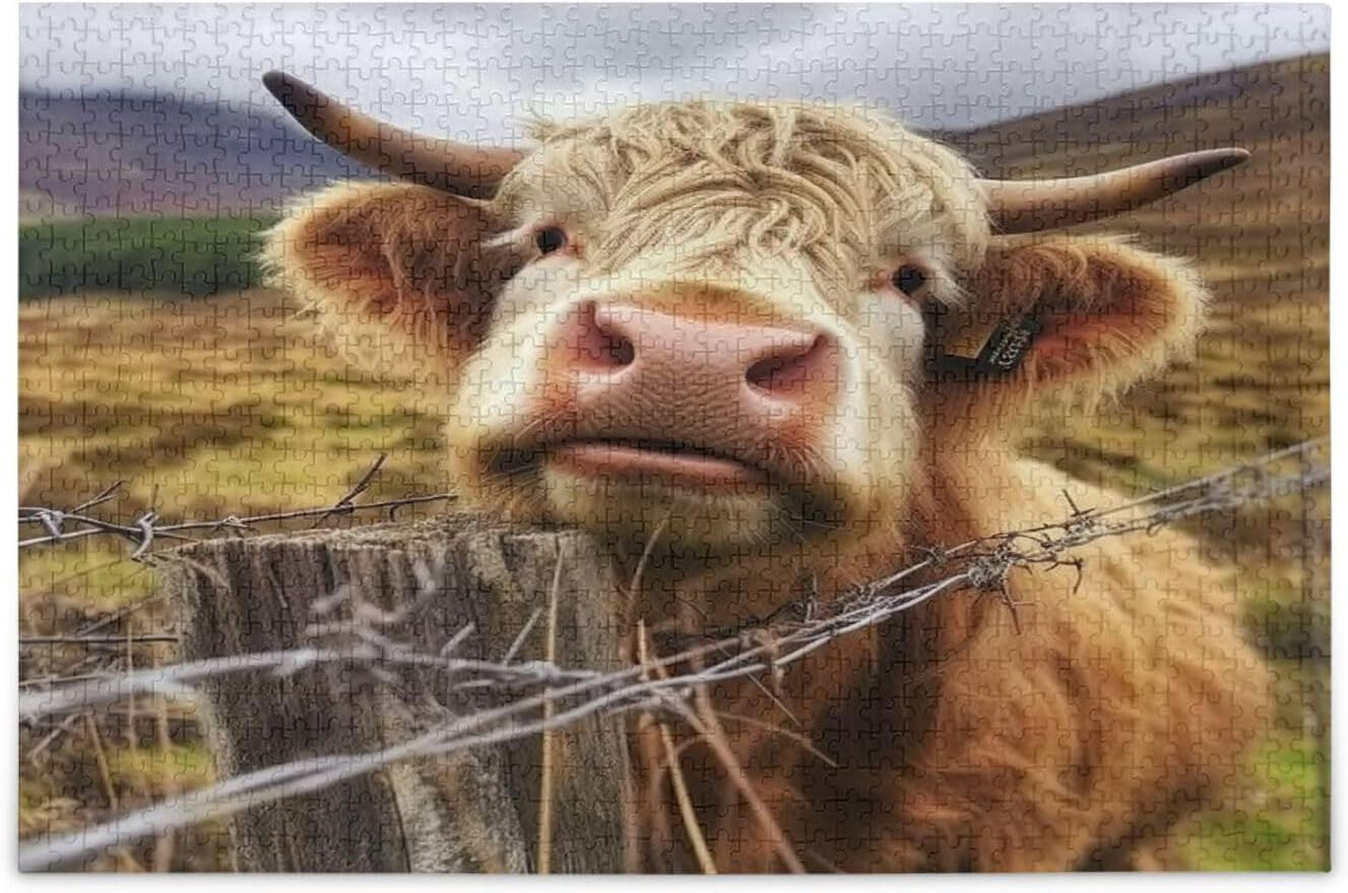 Dreamtimes Cute Highland Cattle Jigsaw Puzzles for Adults 1000 Pieces ...