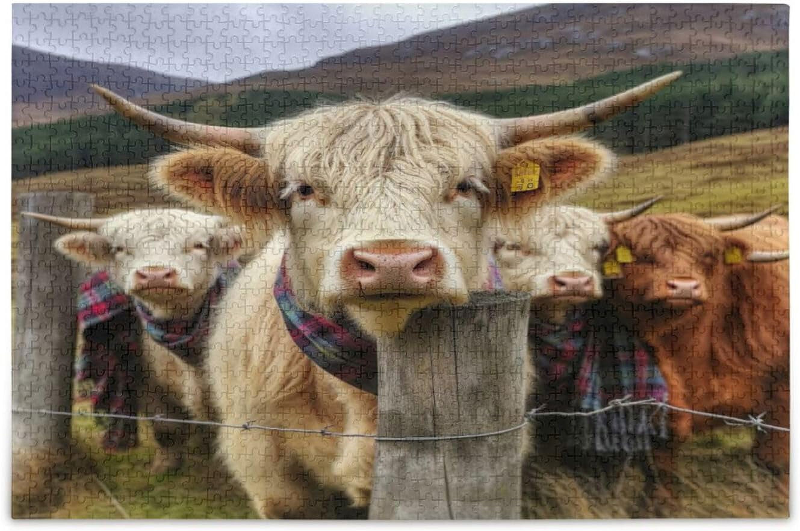 Dreamtimes Cute Highland Cattle Jigsaw Puzzles for Adults 500 Pieces ...
