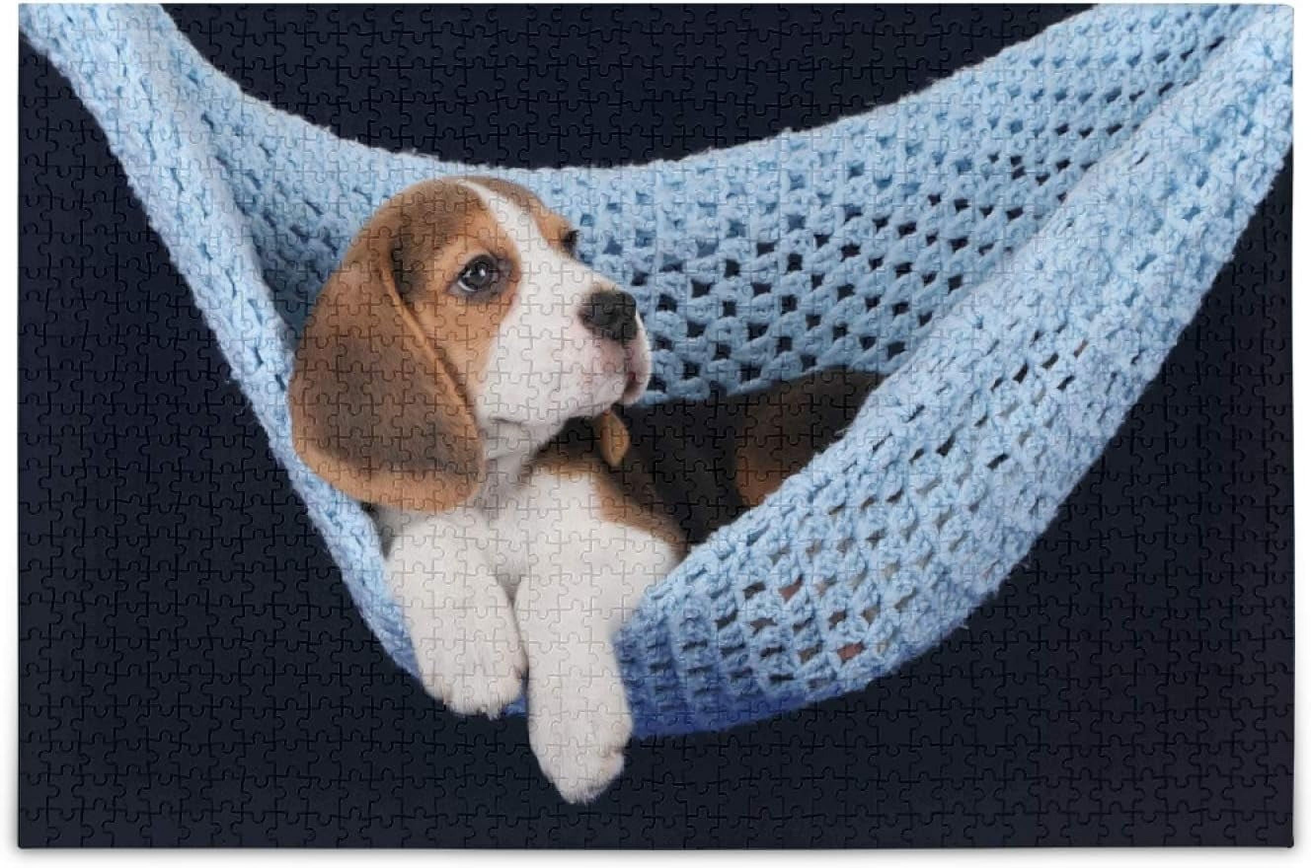 Dreamtimes Cute Little Beagle Puppy in Hammock Puzzle for Adults 500 ...